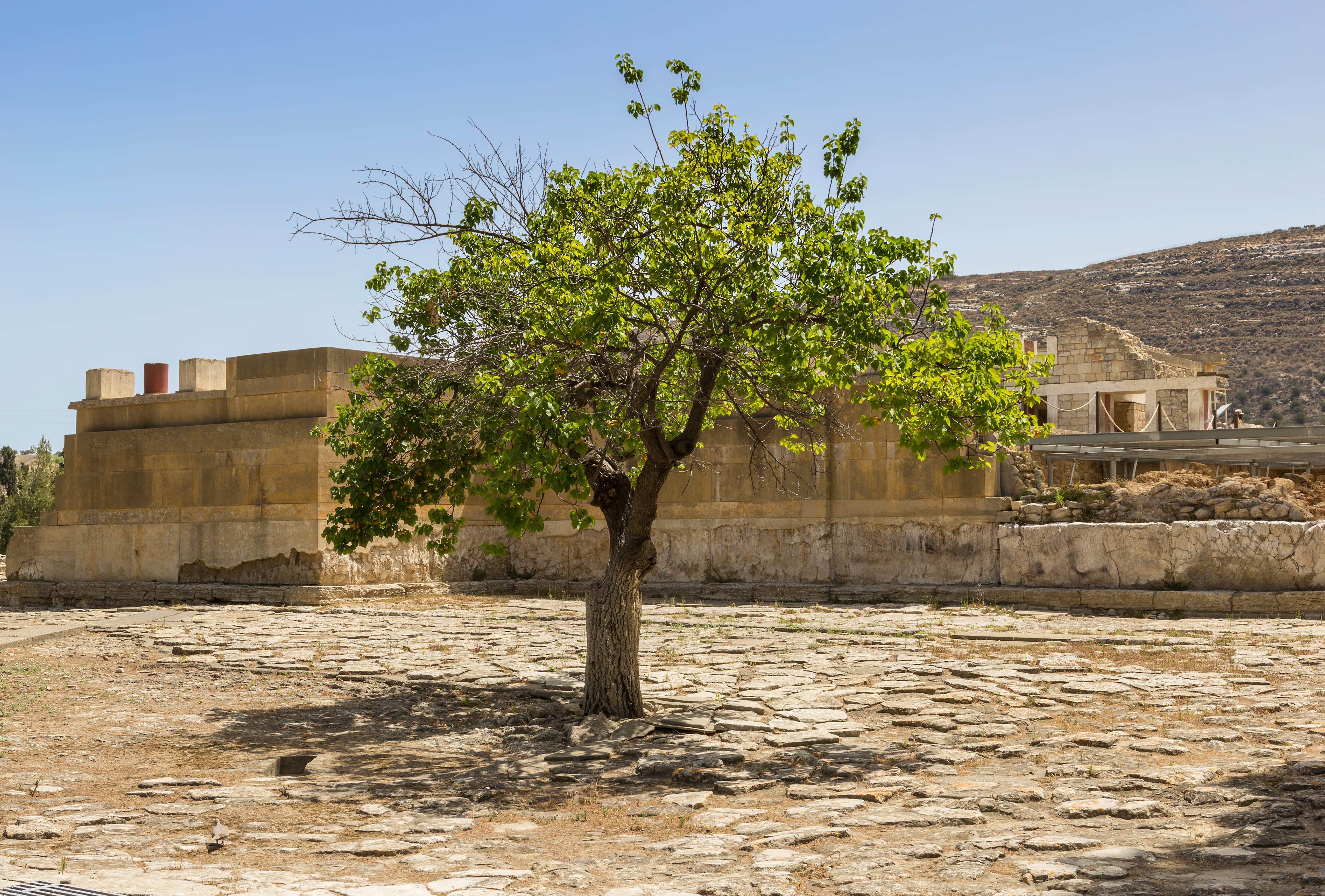 Visit the Minoan Palaces on Crete