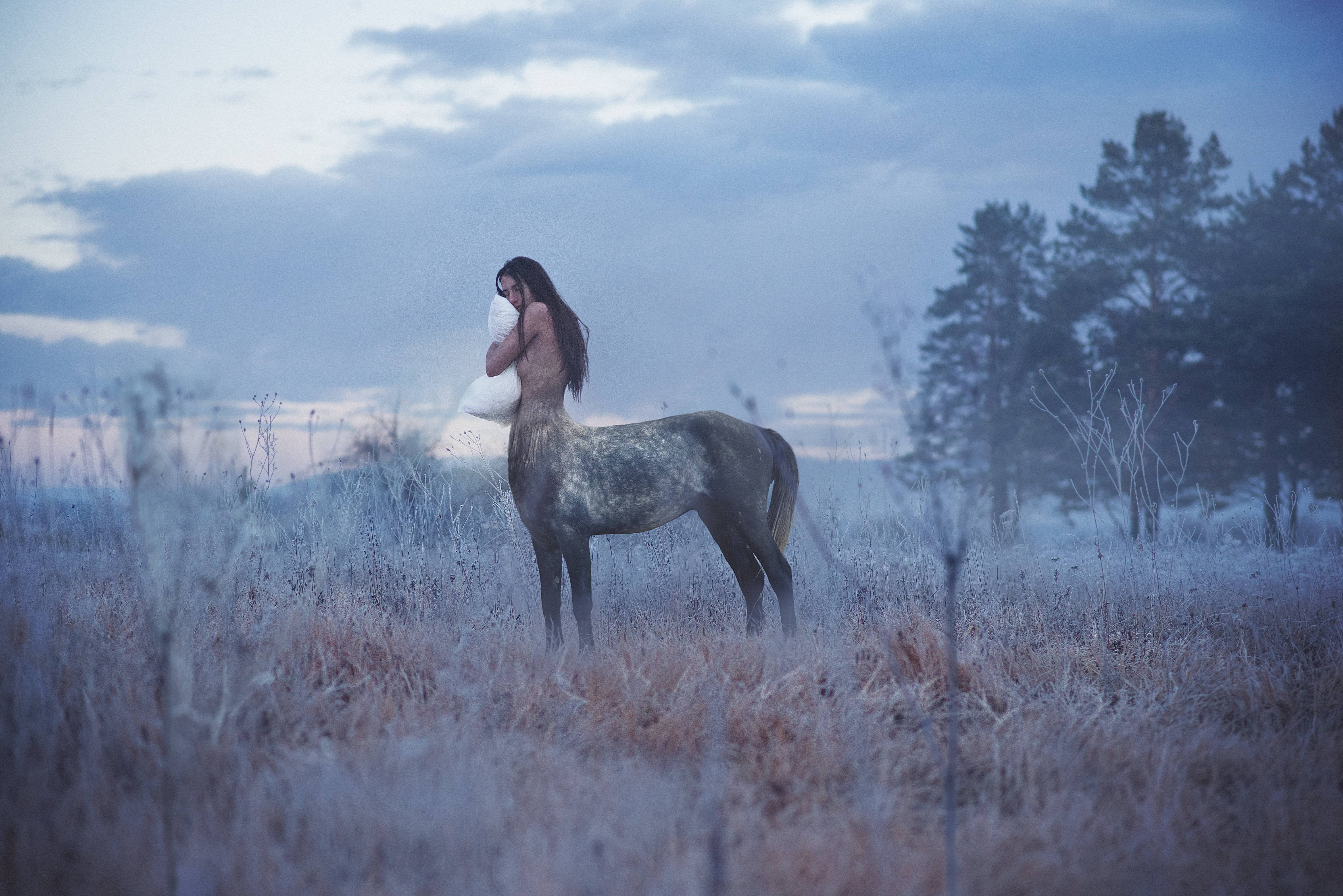 Centaurs - Unique Creatures of Greek Mythology