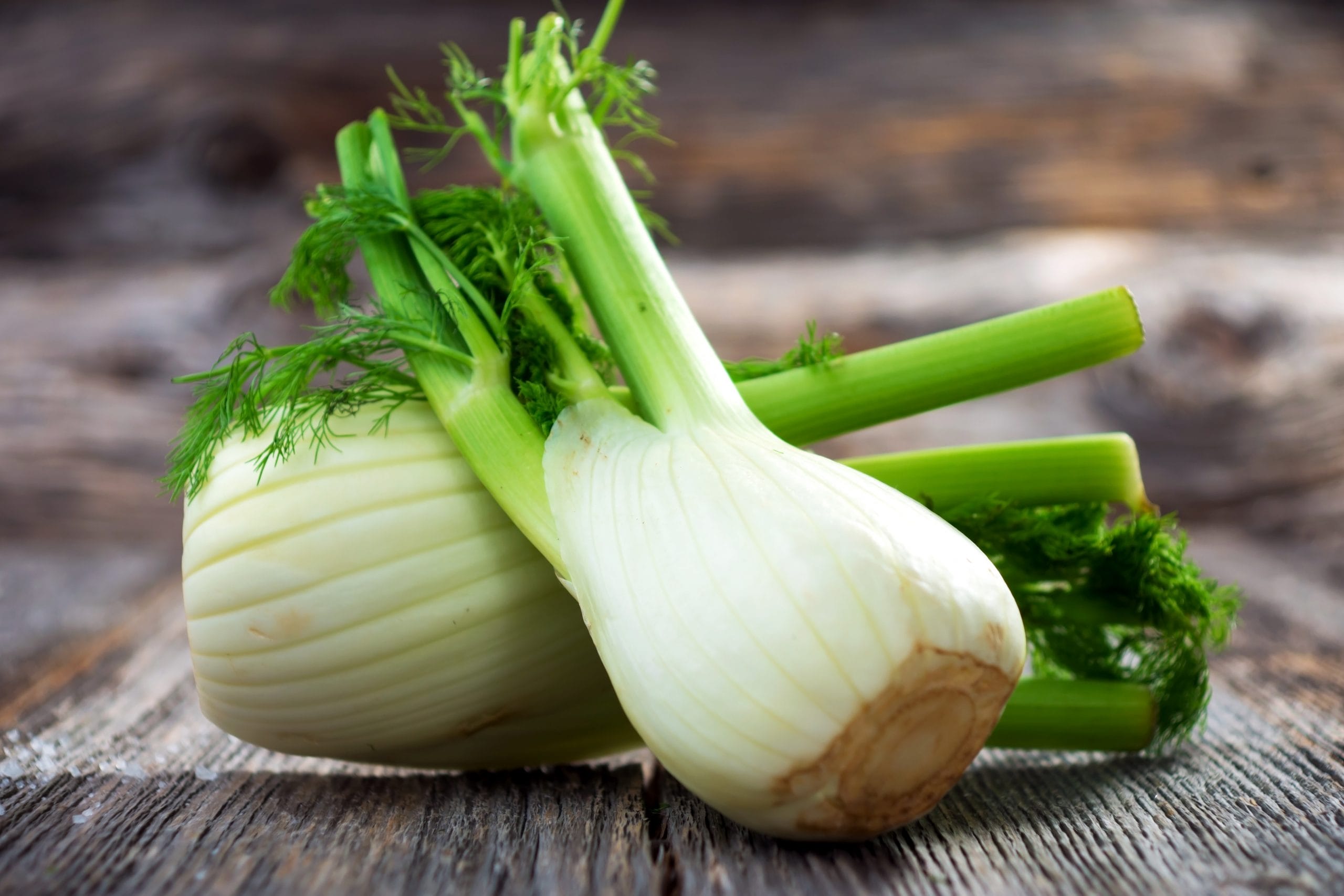 Greek Fennel: Cooking and Medicinal Info